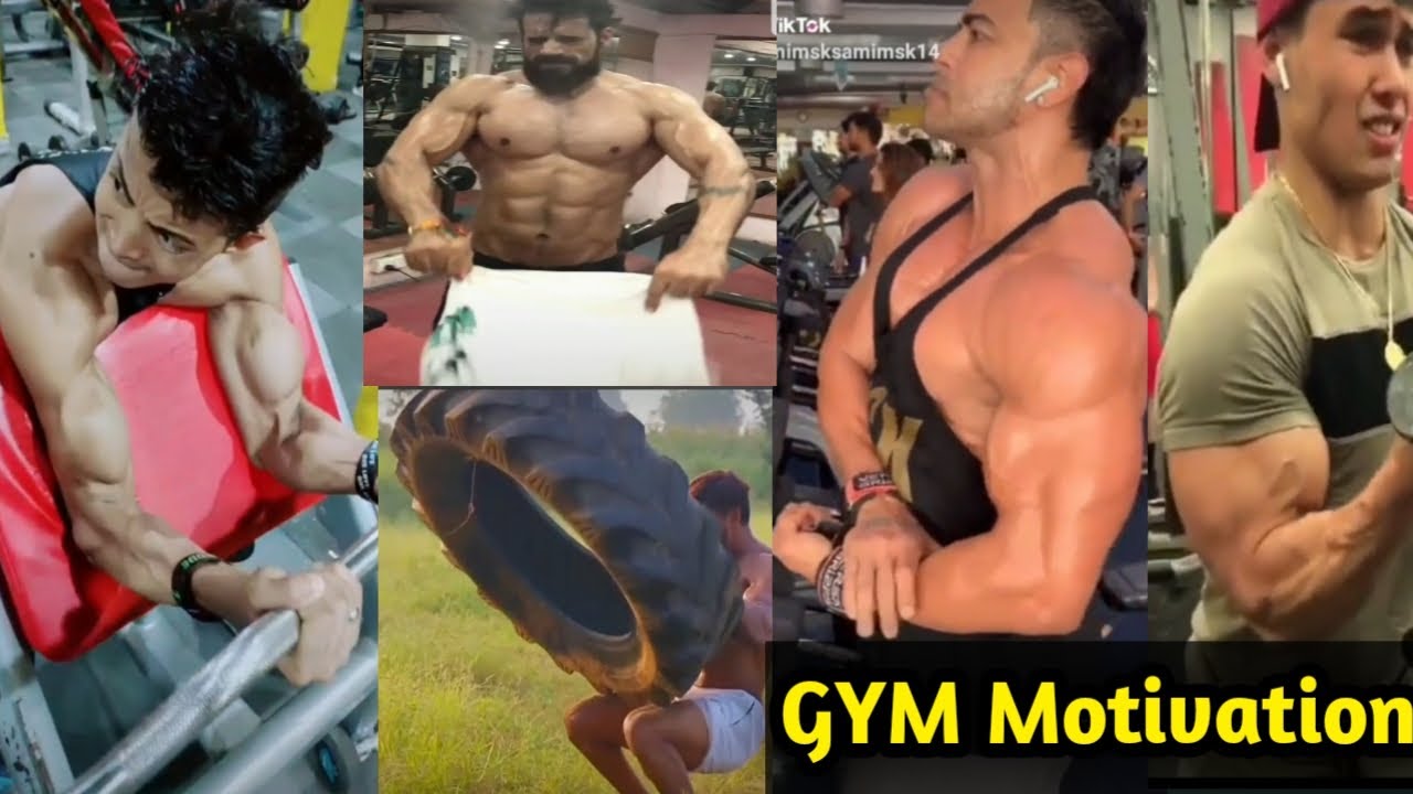 GYM Motivational videos | Latest bodybuilding TikTok videos | Tik Tok ...