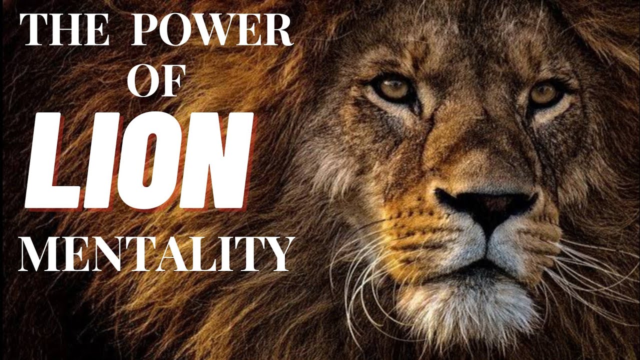 The Power of lion Mentality|Unleashing,Fearless|Powerful Motivationat ...