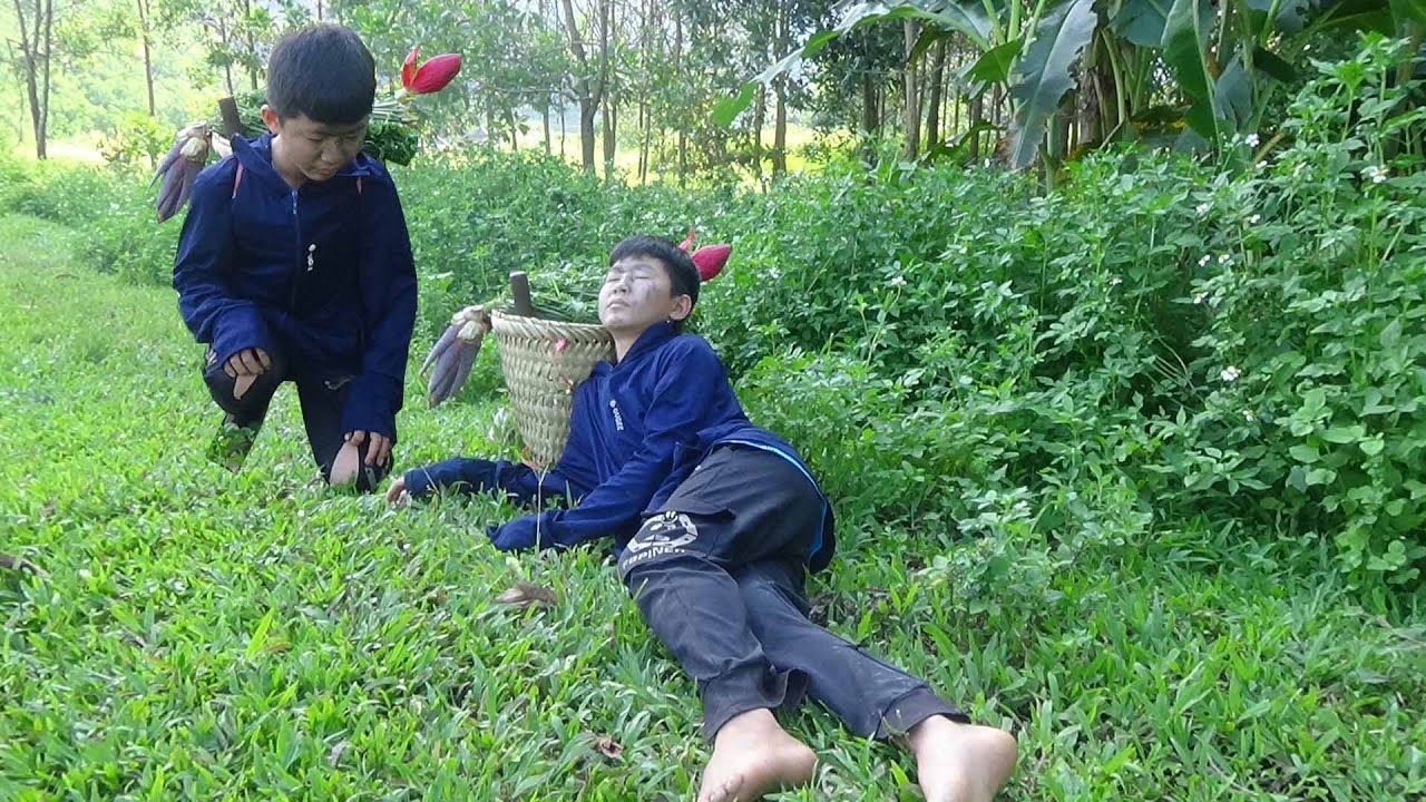 An orphan boy goes to the forest to pick fruit and sell for a living ...
