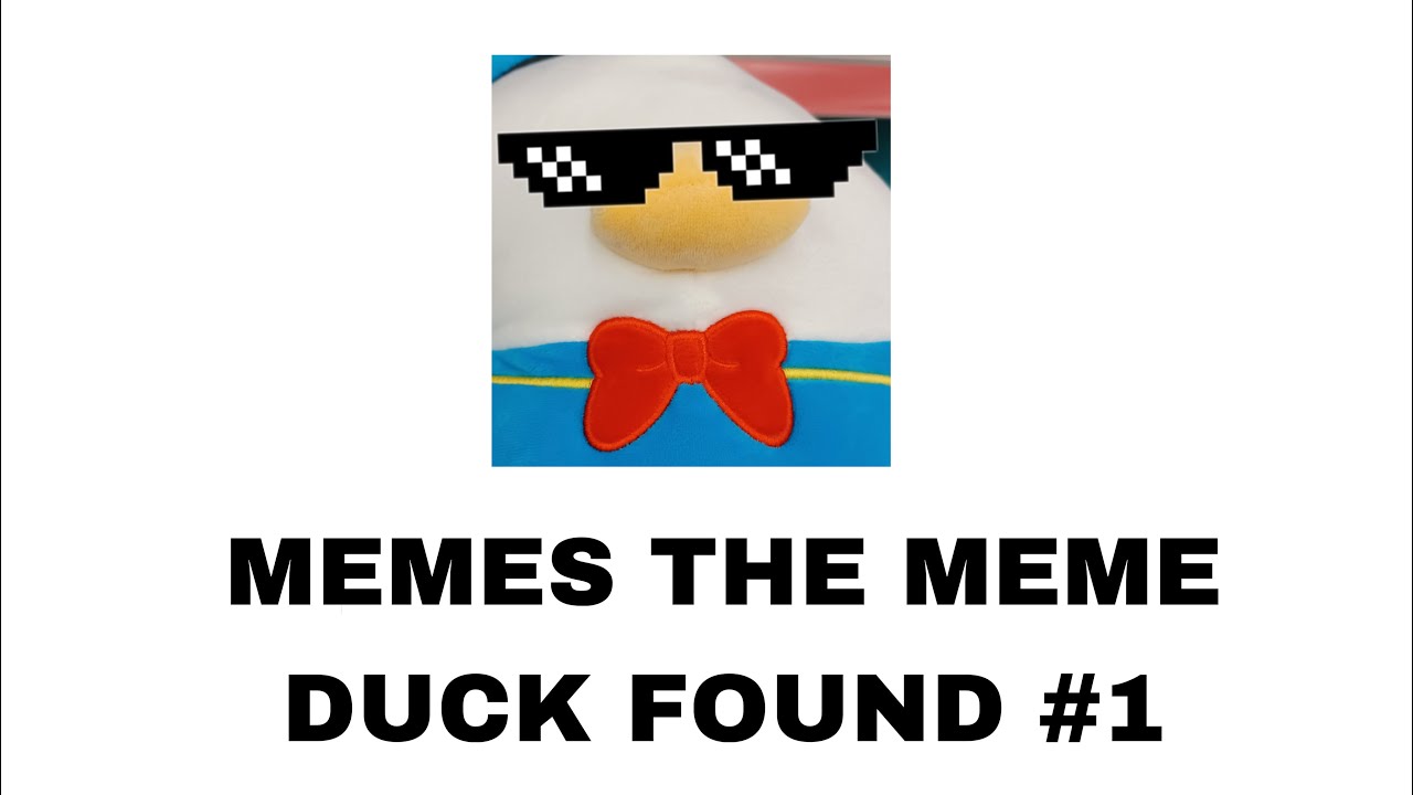 MEMES THE MEME DUCK FOUND #1 - YouTube