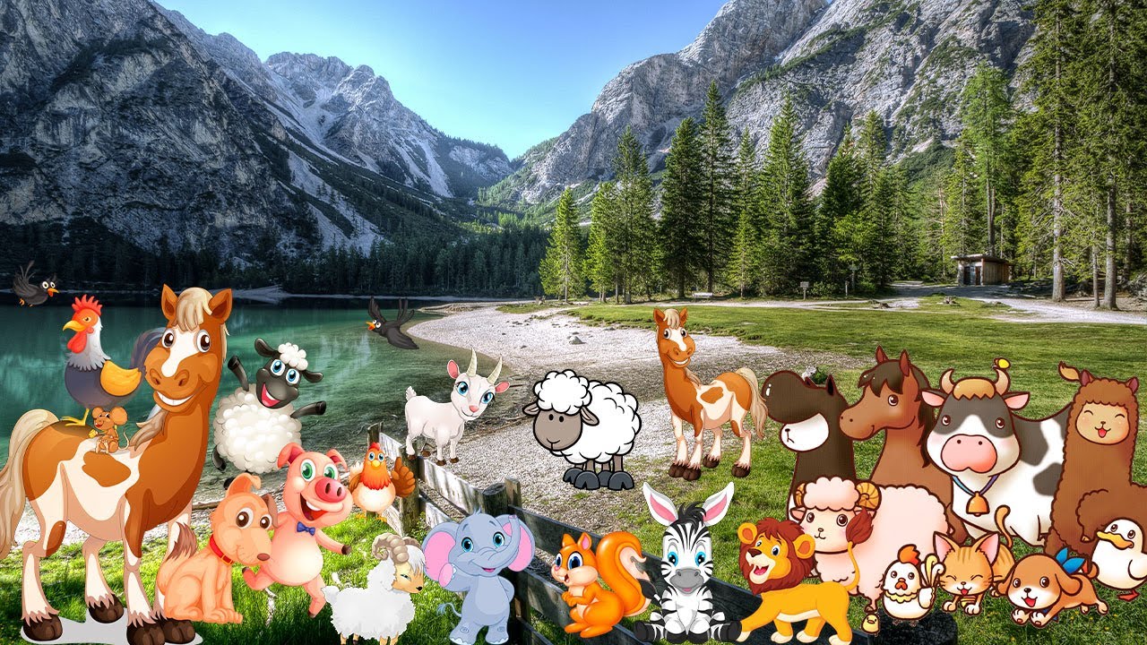 Domestic and wild animals. Sounds and names of animals. Let's study ...