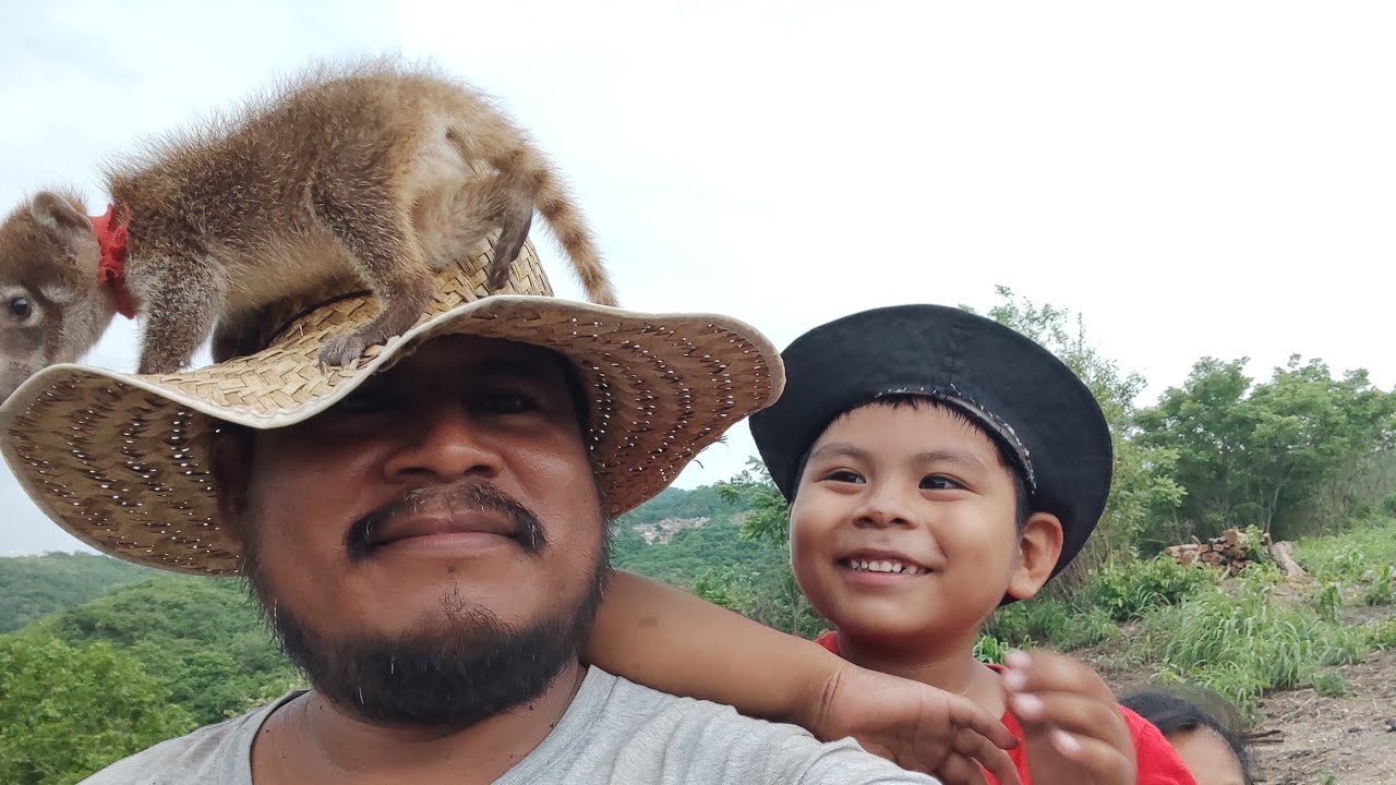 😔una lección muy importante para tejoncito🦝 - YouTube
