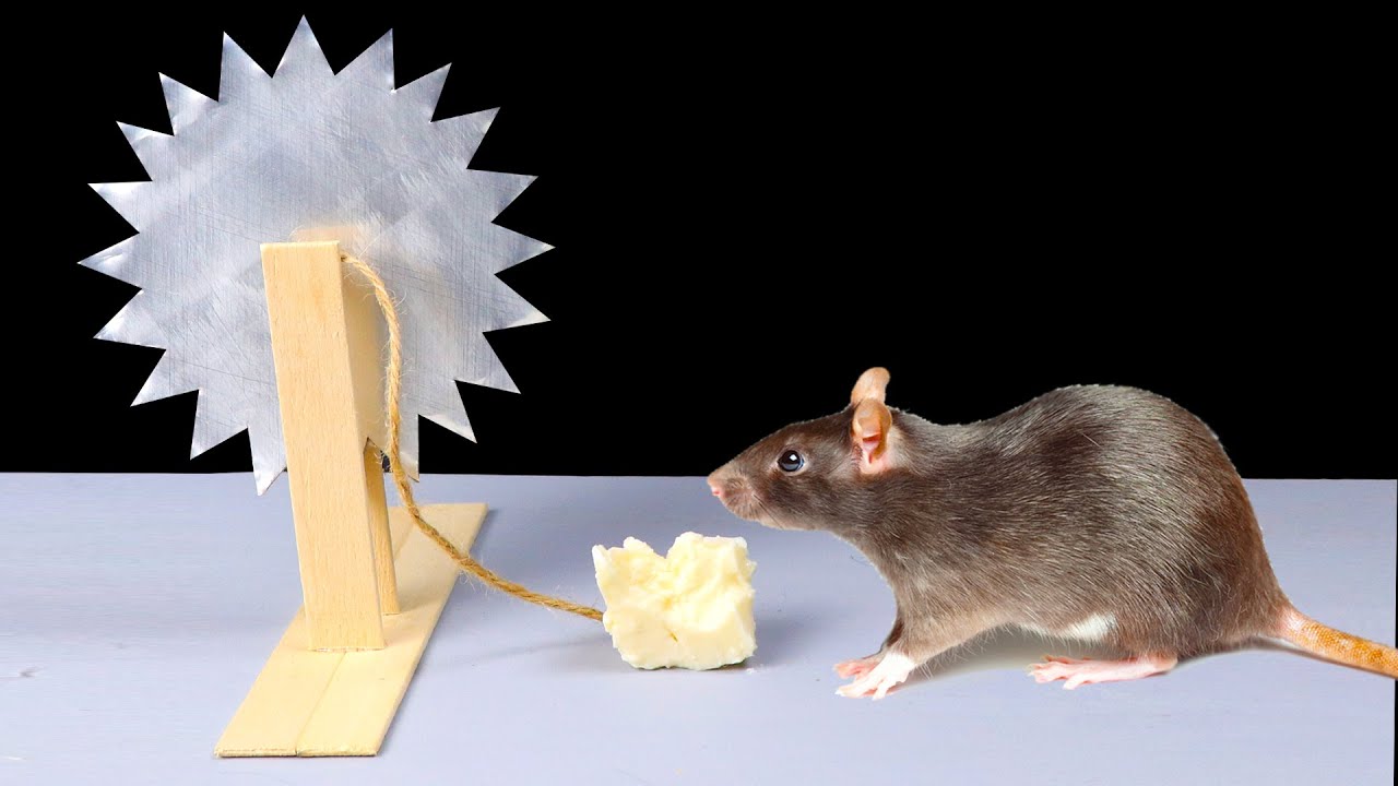 6 SIMPLE INVENTIONS - YouTube