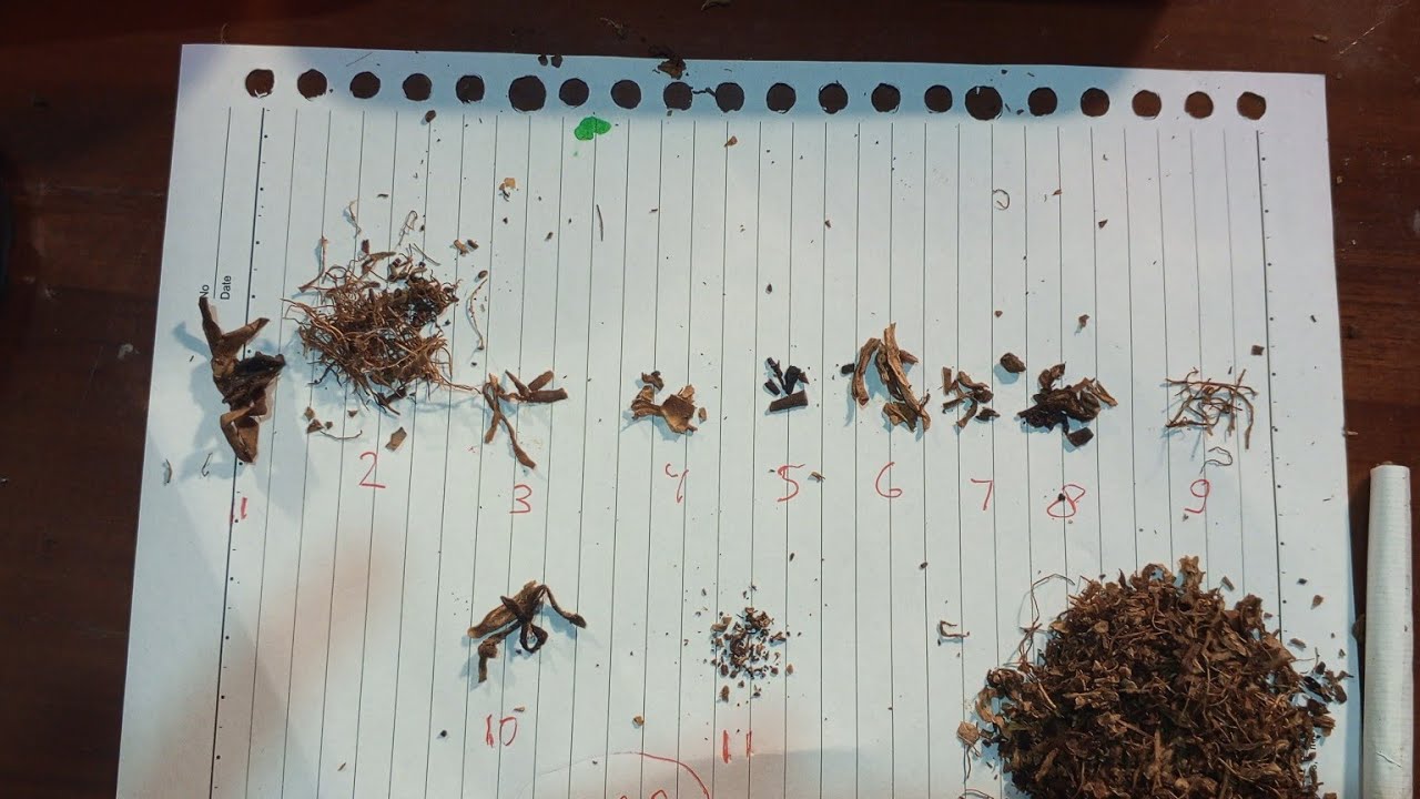 Ternyata Satu macam Racik Tembakau Mempunyai Campuran Sebanyak ini ...