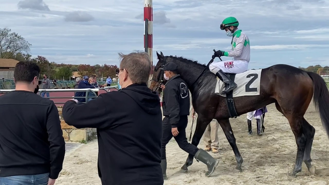 Trainer Danny Velazquez gets a win at Parx after his 2 stakes winning ...