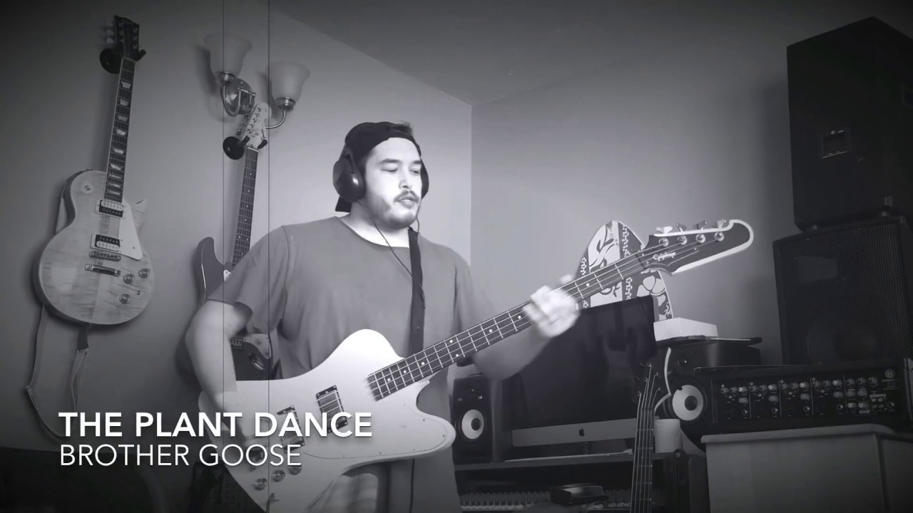 The Plant Dance - Brother Goose - YouTube