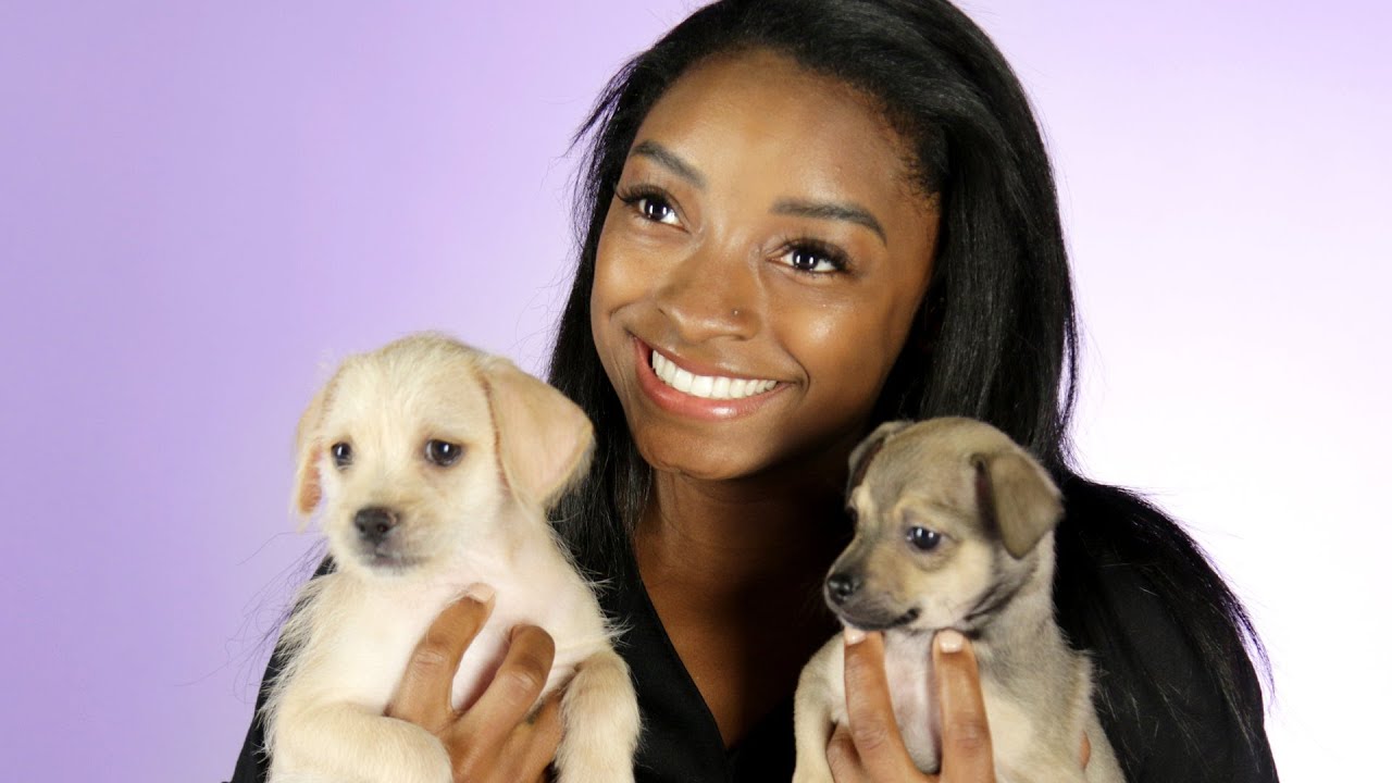 Simone Biles Plays With Puppies While Answering Fan Questions - YouTube