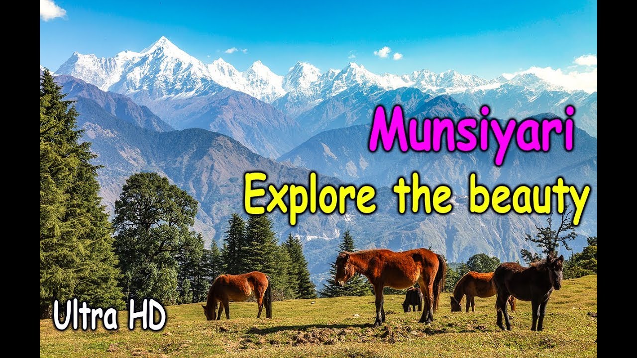 MUNSIYARI UTTARAKHAND TRIP | BEST VISIT PLACE IN INDIA | SCENIC HILL ...