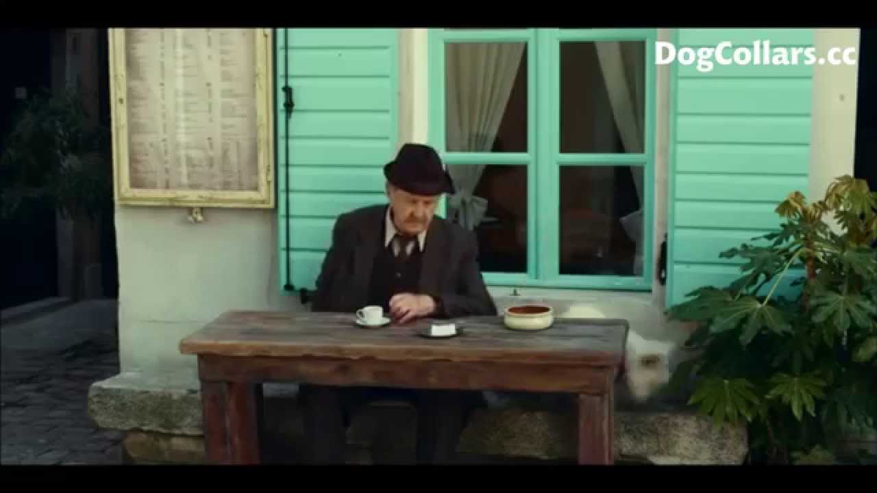 Cesar Love Them Back - YouTube