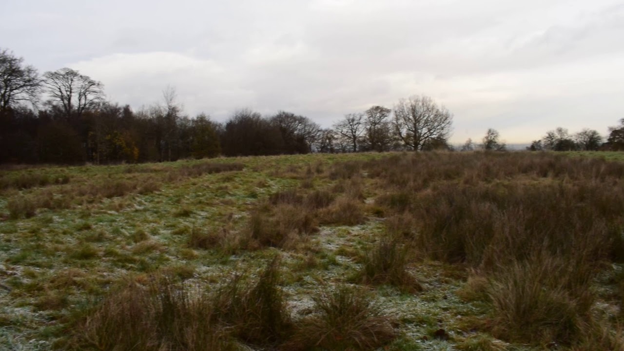 The Battle Of Falkirk Muir 1746 - YouTube