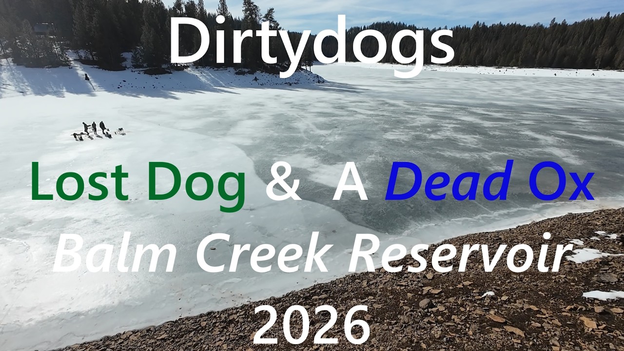 4K/LOST DOG/DEAD OX RANCH FESTIVAL IN KEATING OREGON 2026 - YouTube