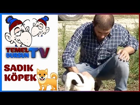 Sadık Köpek - Temel Dursun TV