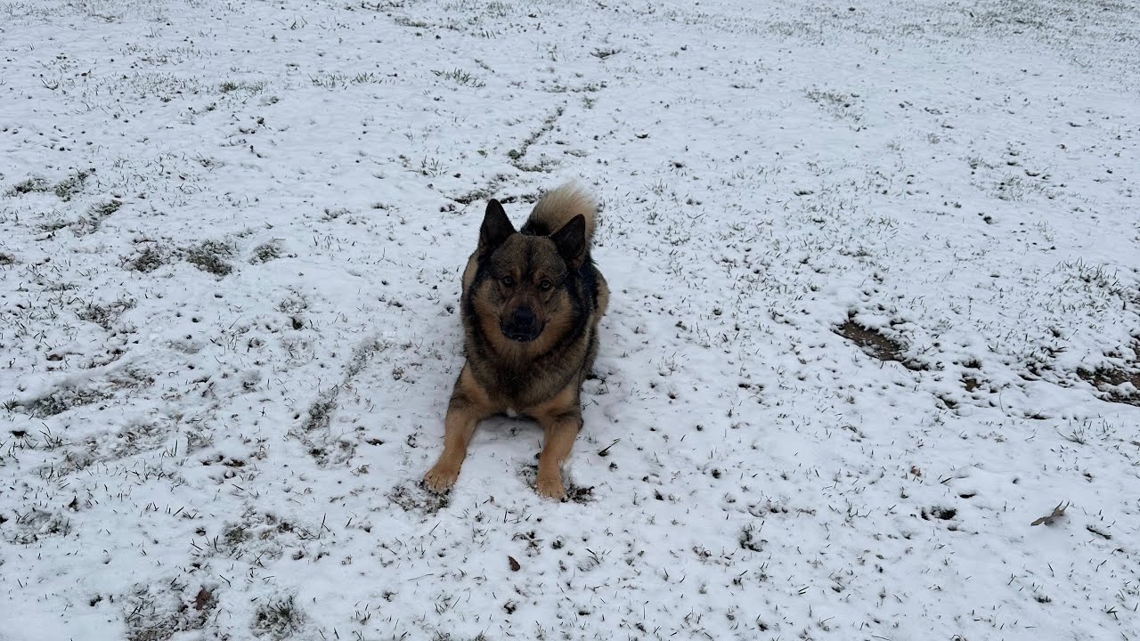 crushing ribs (full album) - YouTube