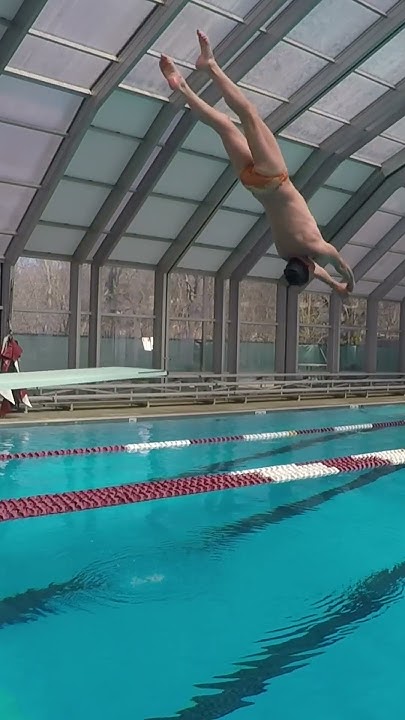 Back Dive Tuck 201C x1 Diving #divingboard #1meter #diver # ...