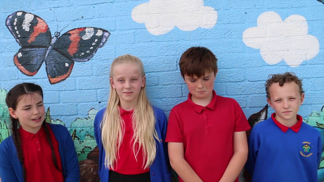 Trinant Primary School celebrates excellent Estyn report - YouTube