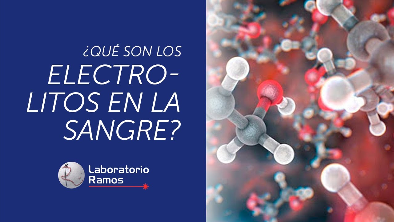 ¿Qué son los electrolitos en la sangre? - YouTube