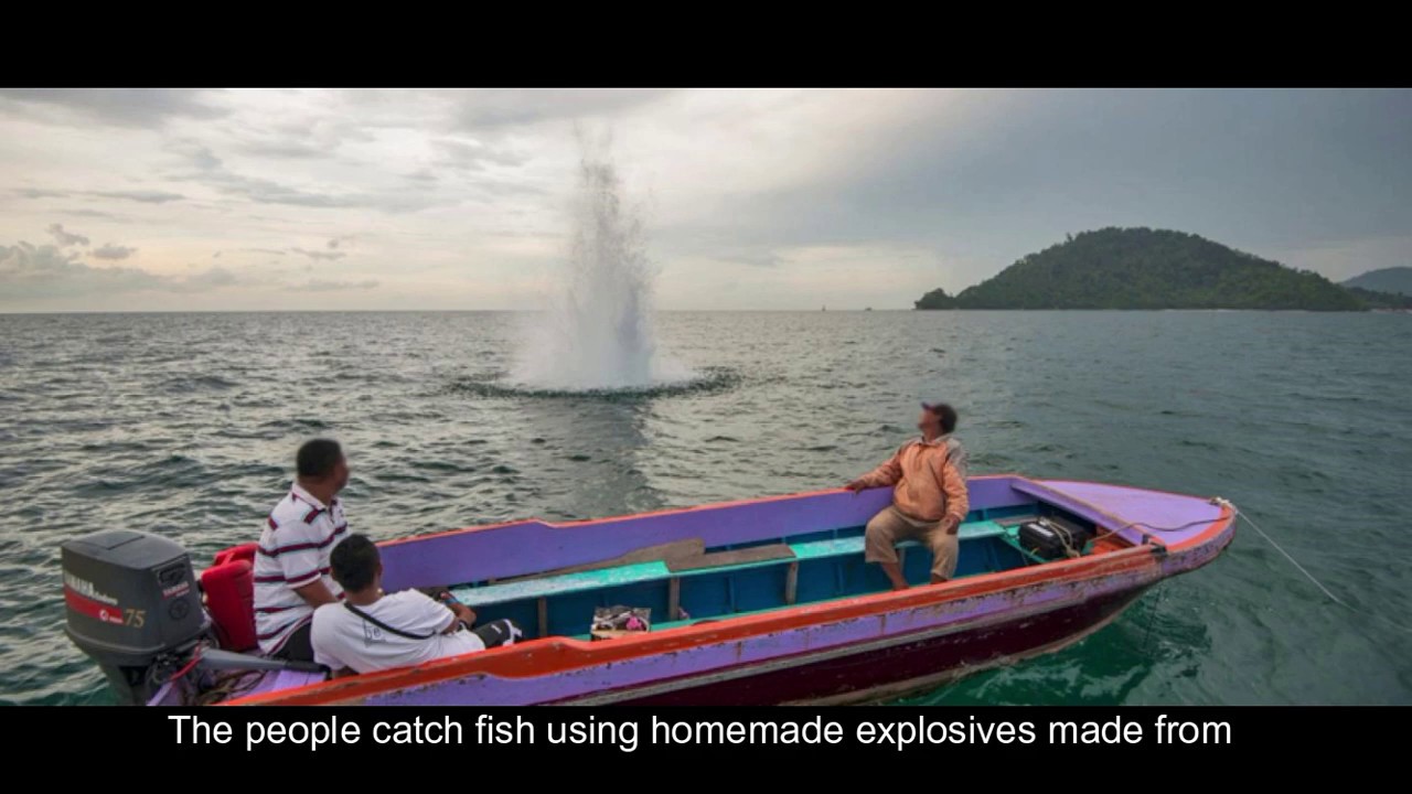 Skippers Exploding Fish