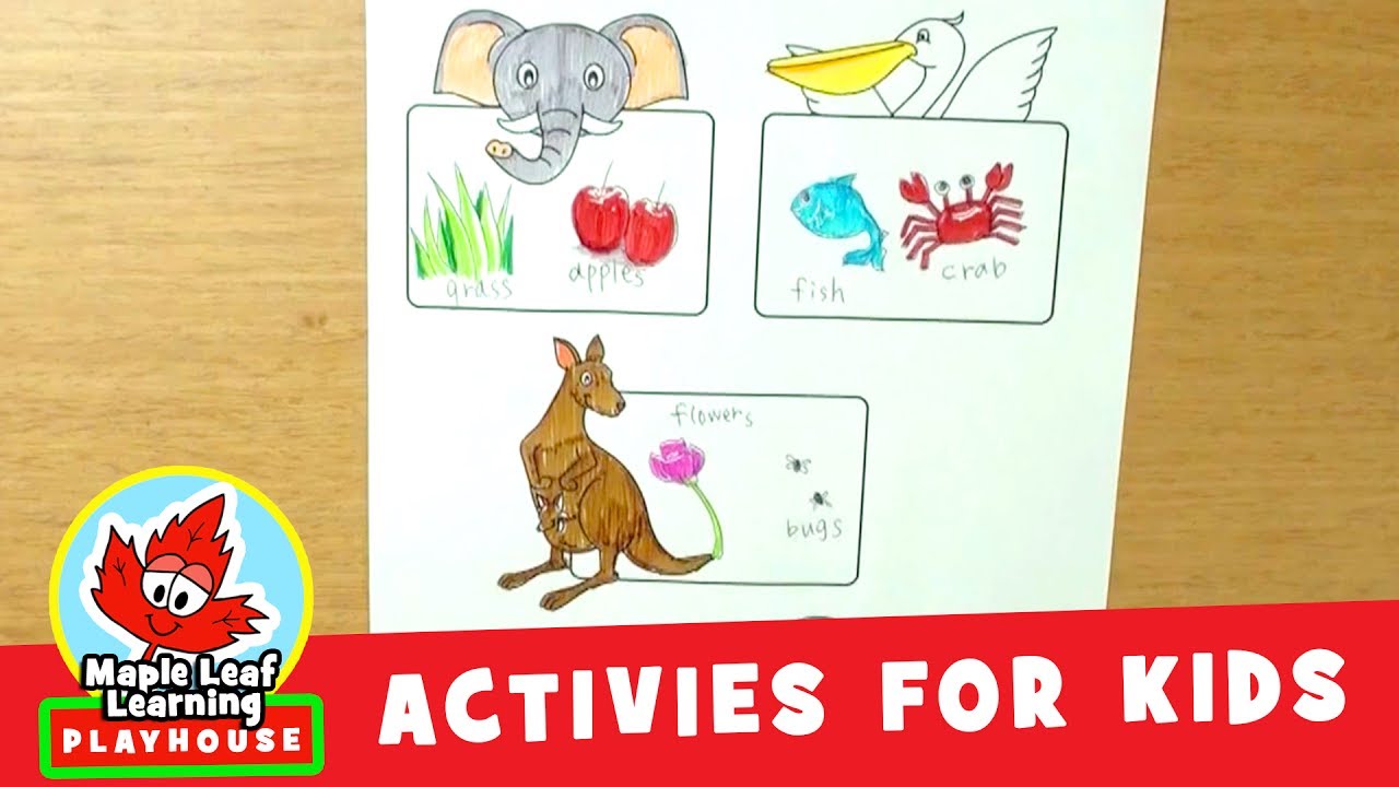 Animal Feeding Activity for Kids | Maple Leaf Learning Playhouse - YouTube