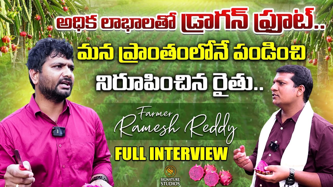 Dragon Fruits Farmer Ramesh Reddy Latest Full Interview Full Interview ...