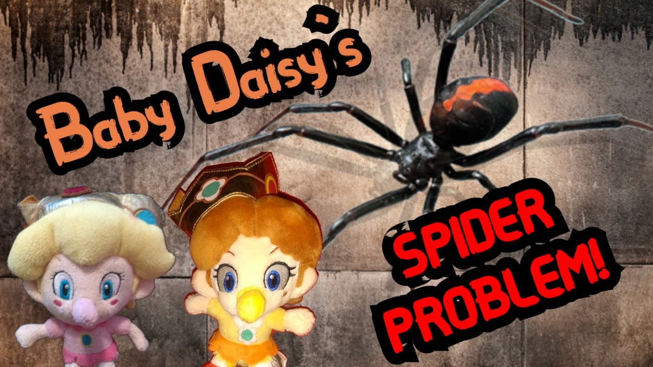 Baby Daisy's Spider Problem! - YouTube