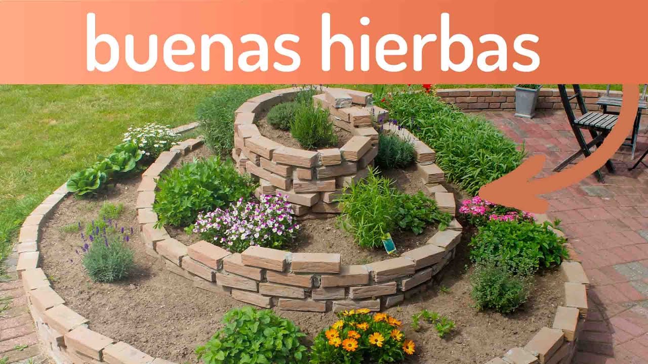 🍀 Guía fácil para cultivar 24 BUENAS HIERBAS ⚘ Directo hierbas ...