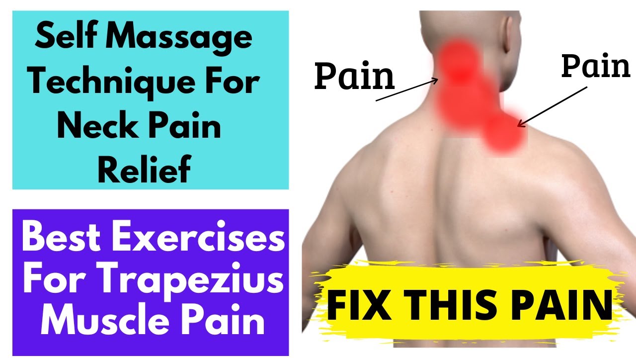 Best Exercises And Massage Technique For Neck Pain Relief | Neck Muscle ...