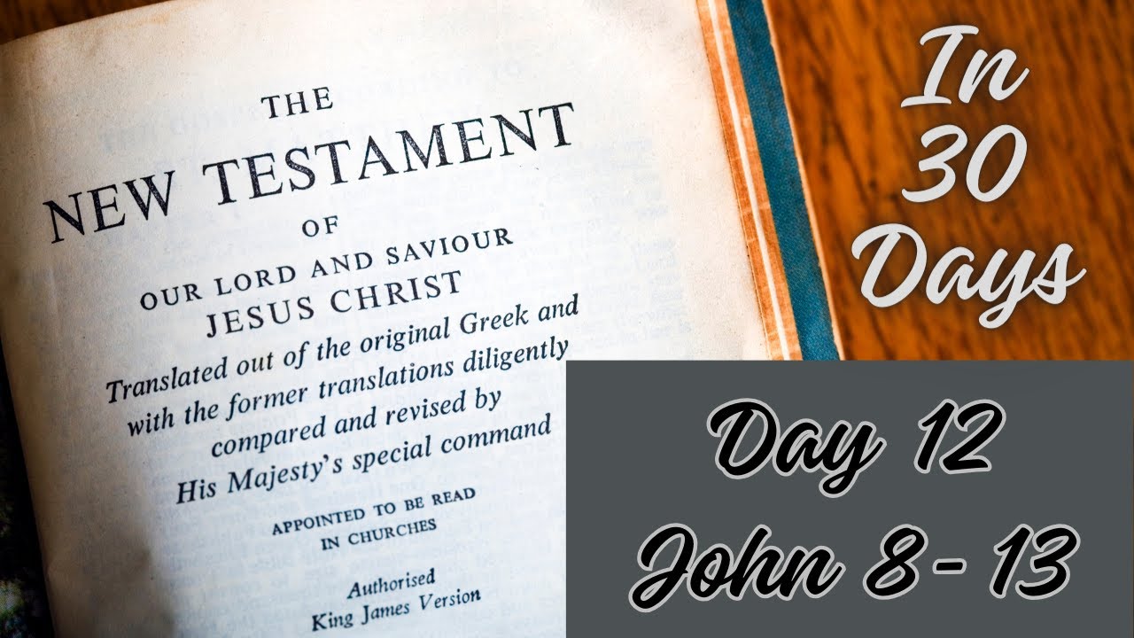 Read Along | The New Testament in 30 Days: Day 12 (John 8-13) - YouTube