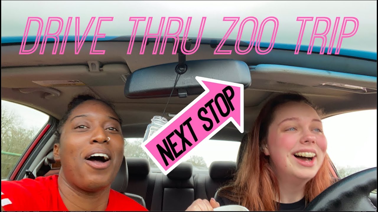 Drive Thru Zoo !!! - YouTube