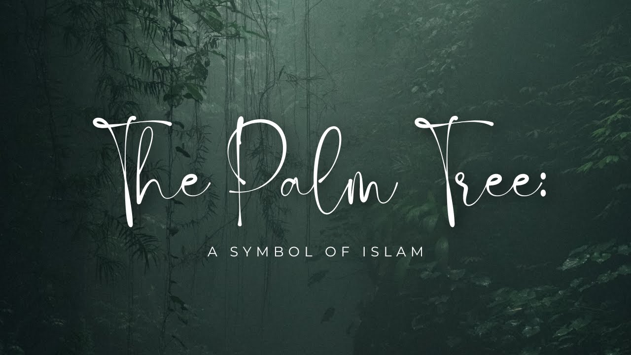 The Palm Tree: A Symbol of Islam - YouTube