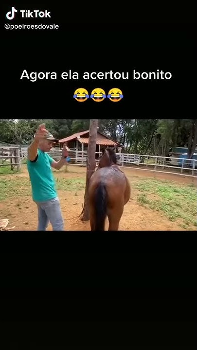 Como deve montar em um cavalo. - YouTube