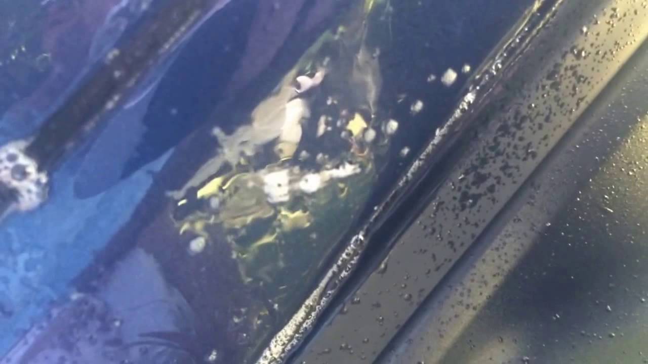 RoMix Back-Set Review - YouTube