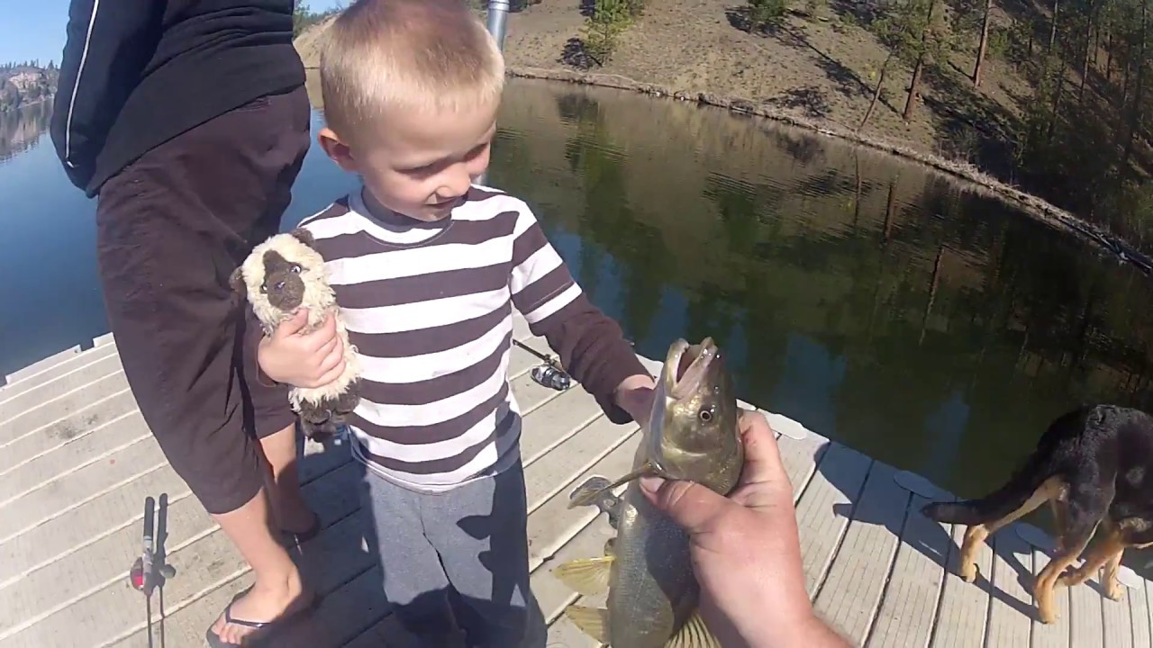 ribalka na farel .fishing for trout .ribalka na farel - YouTube