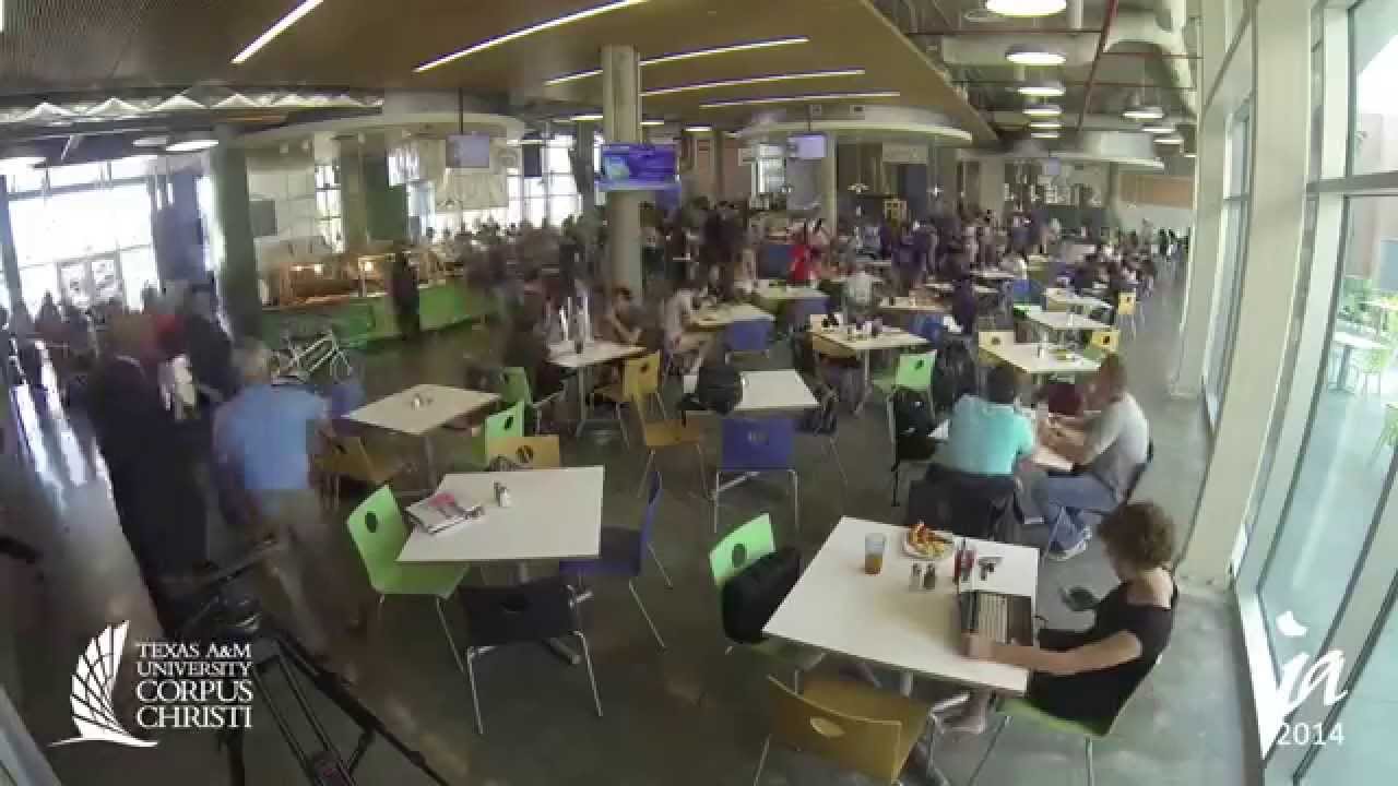 University Community Celebrates Grand Opening of New Islander Dining ...