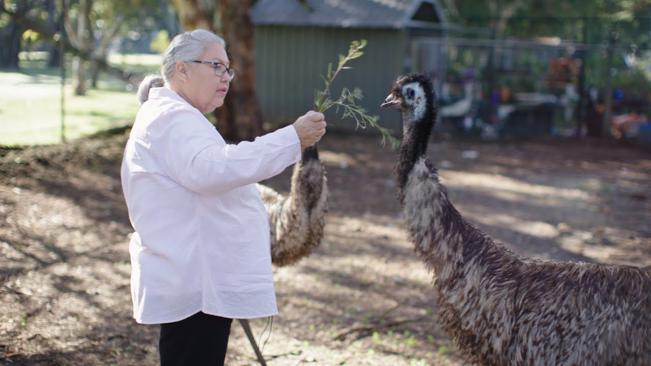 Food philosophy with Dale Tilbrook | Homegrown Goodness - YouTube