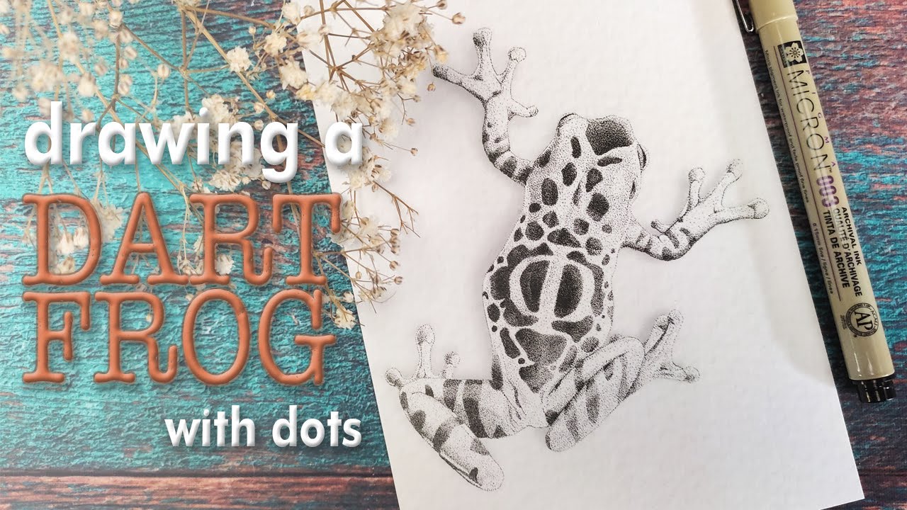 Stippling: drawing a frog with dots - YouTube