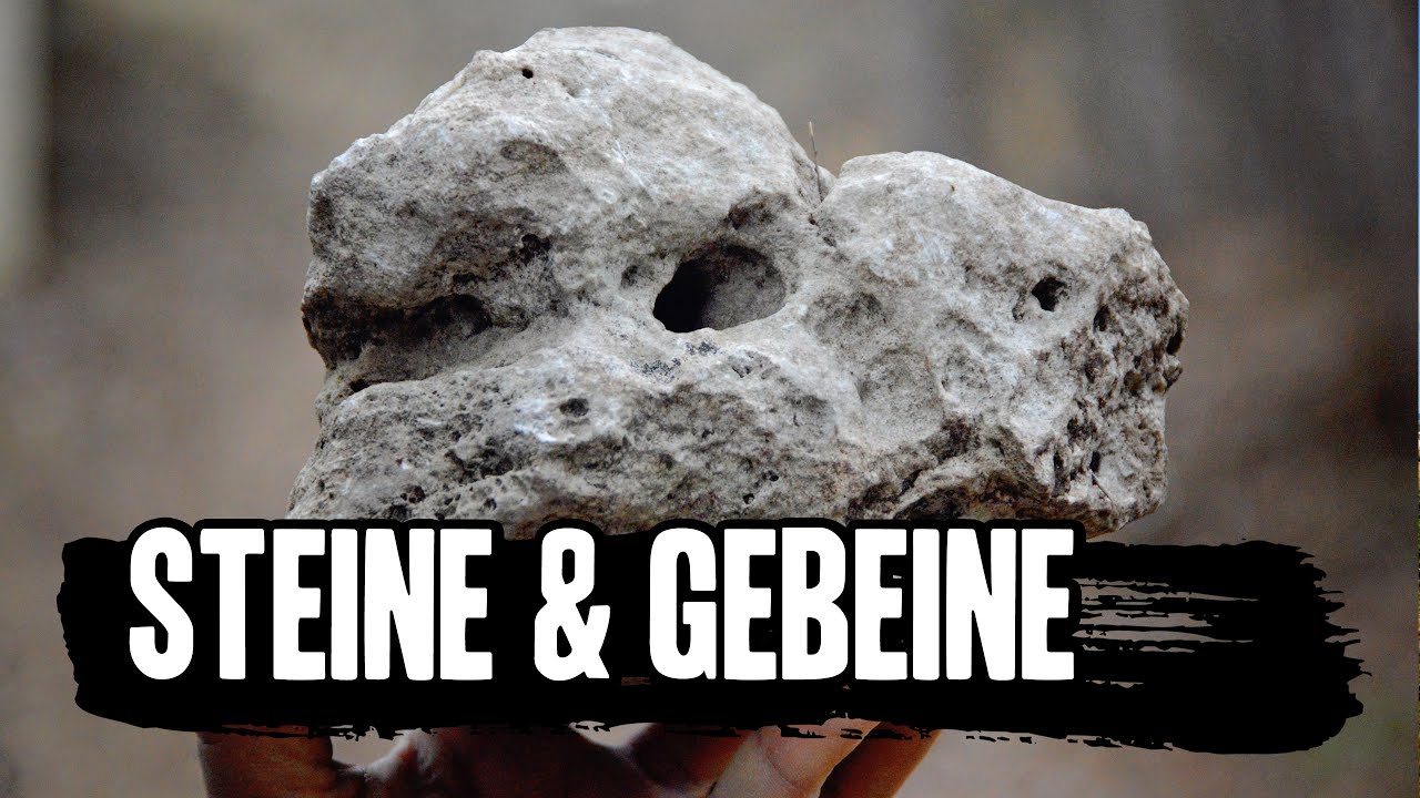 Versteinerte Knochen entdeckt: Von Steinen & Gebeinen - YouTube