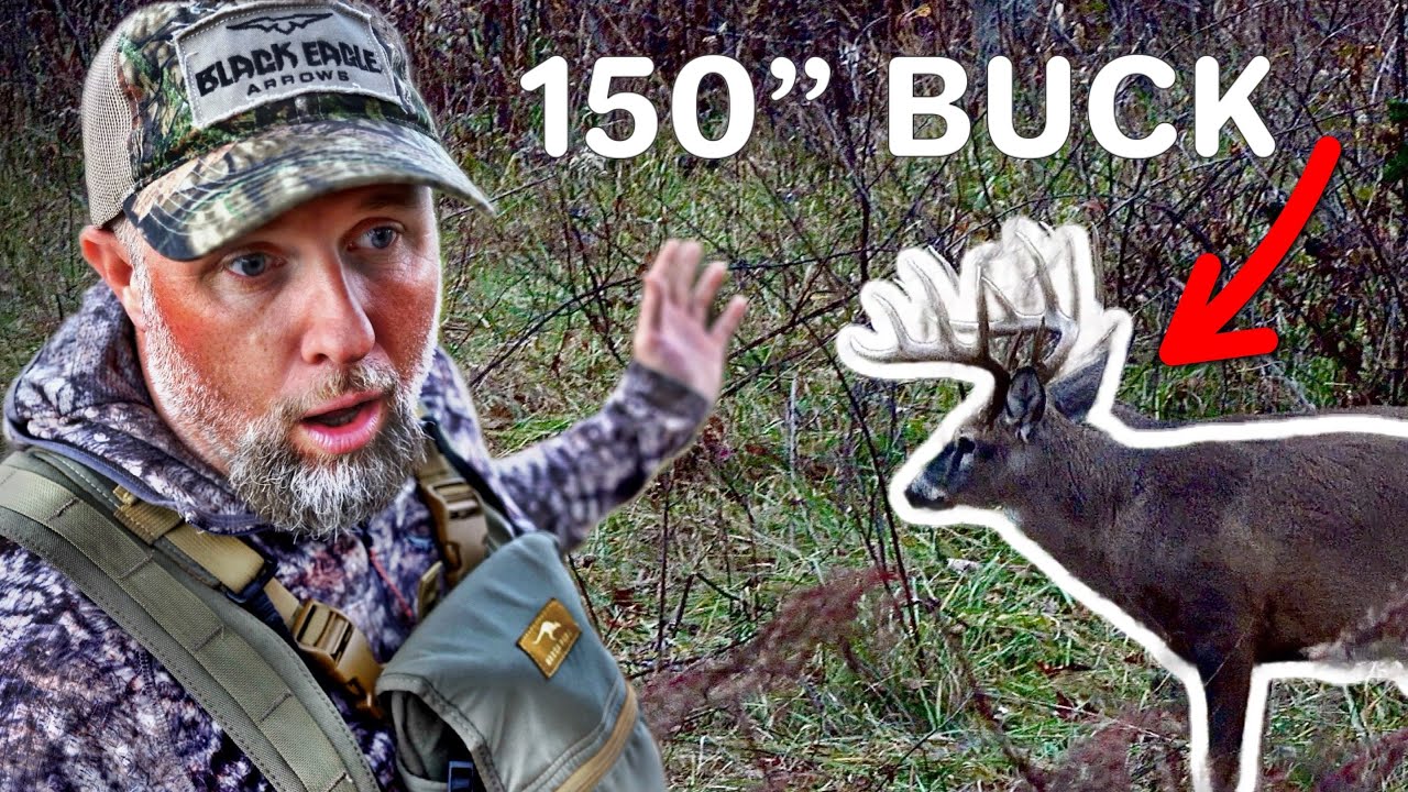 150 INCH MOUNTAIN BUCK - YouTube
