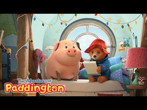 Paddington | PADDINGTON'S PET HOTEL