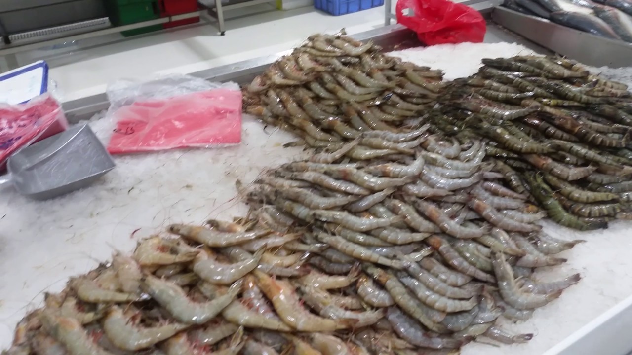 Water front fish market - YouTube