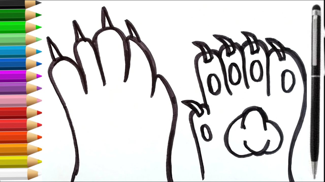 Drawing and coloring wolf claws, very beautiful drawing for children # ...