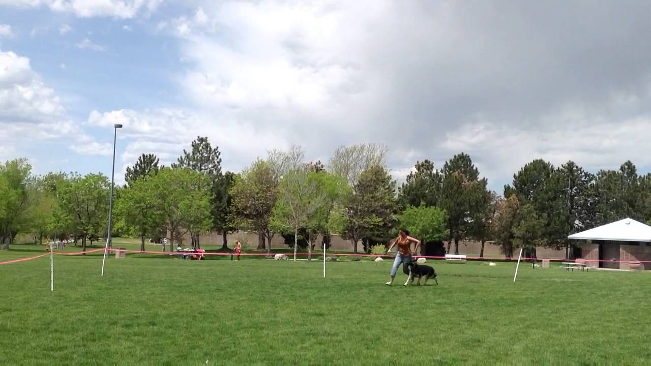 Jada @ Training Class - YouTube