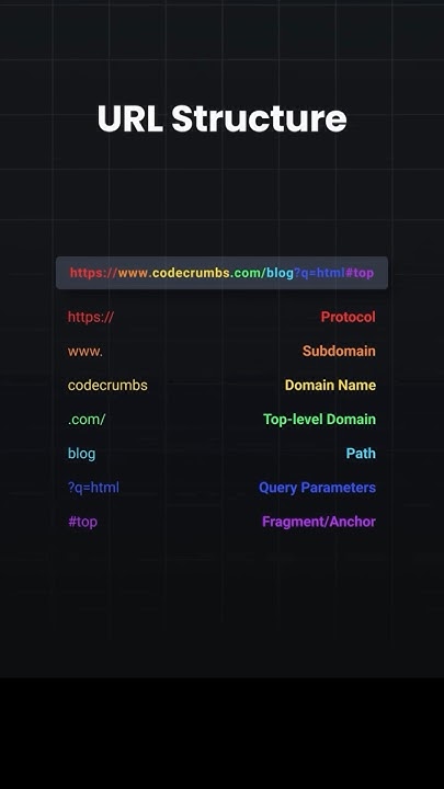 URL structure needs to know 😍 Follow for more letskill coding institute ️ #coding #programming ...