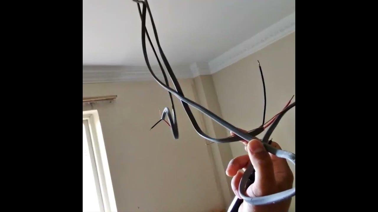 How to find switch cable on ceiling light , ceiling rose wiring ...