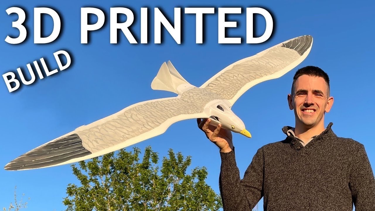 3D Printed EDF RC Seagull Full Build | Planeprint - YouTube