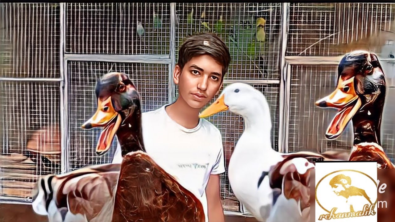 ducky gang humary pet house me agya - YouTube