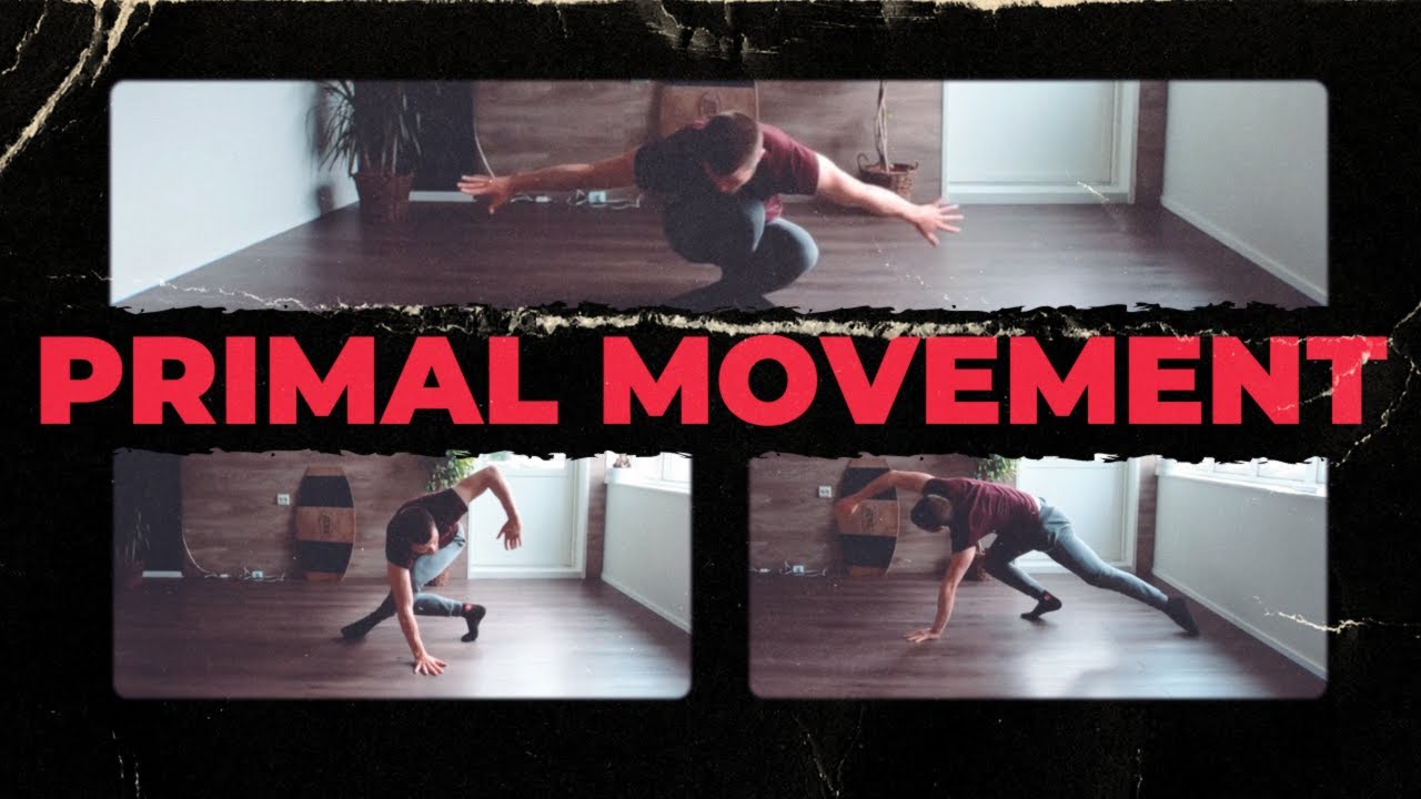 15 Minute PRIMAL MOVEMENT Workout | Follow-Along #46 - YouTube