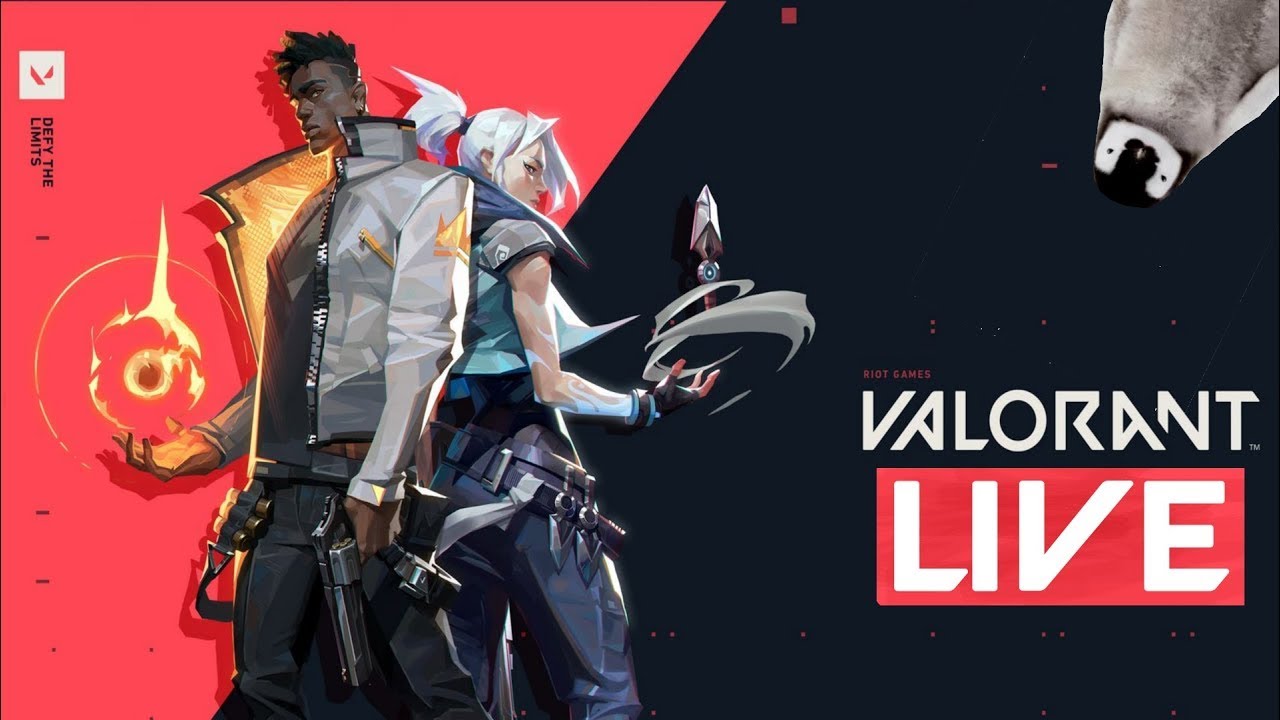 VALO GAMEPLAY - YouTube