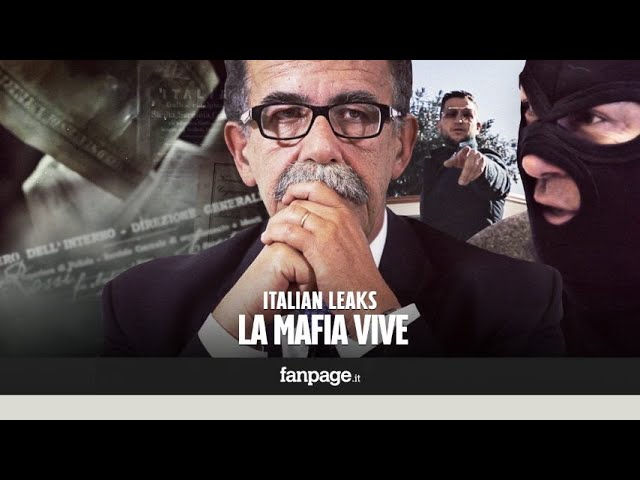 Anthony Vanella's Instagram, Twitter & Facebook on IDCrawl