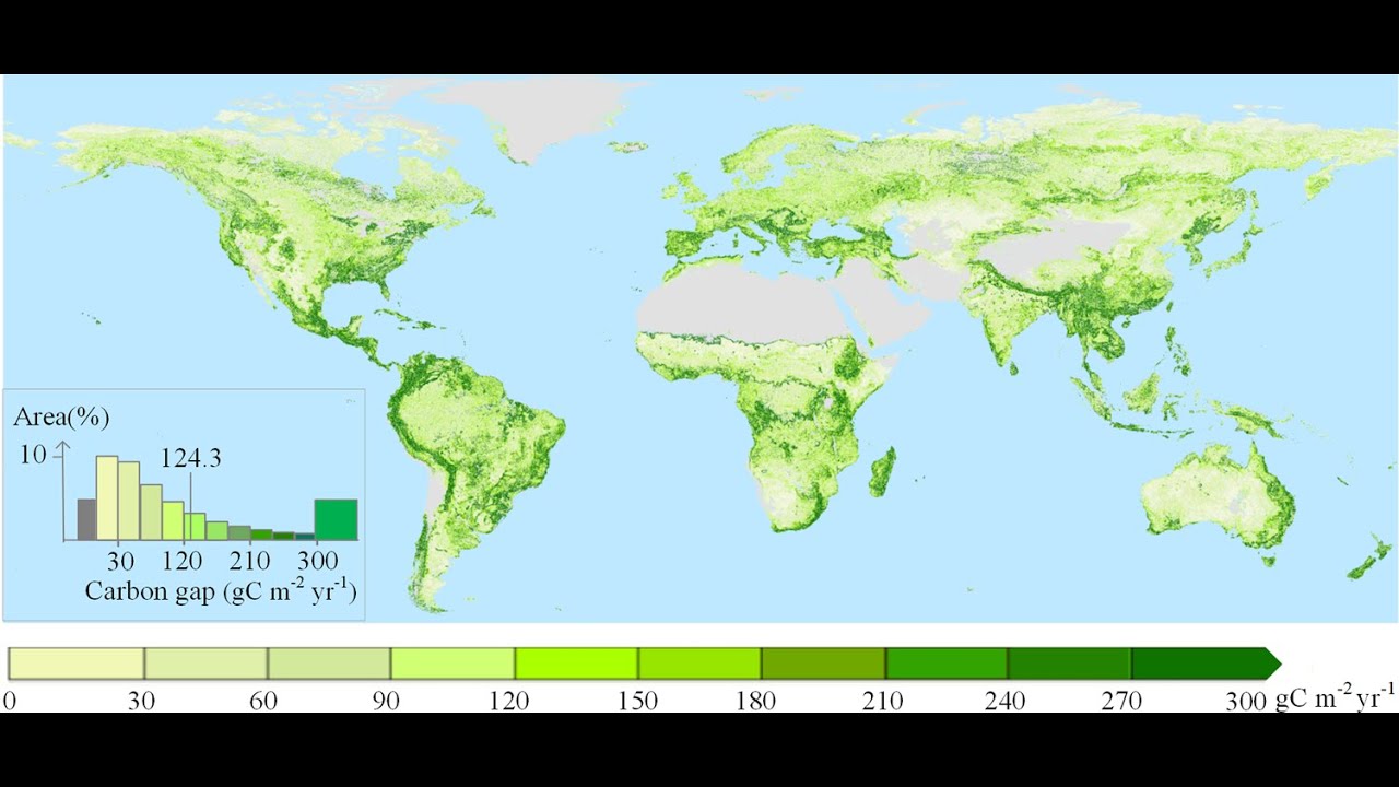 Estimation of potential NPP, actual NPP & human-induced NPP (HNPP ...