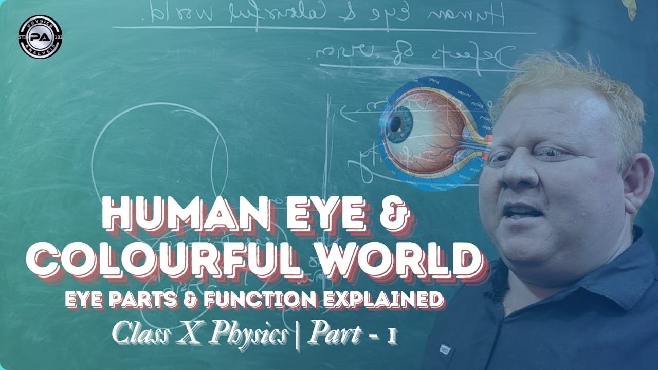 Human Eye - Introduction, Parts & Functions Explained | Class 10 ...